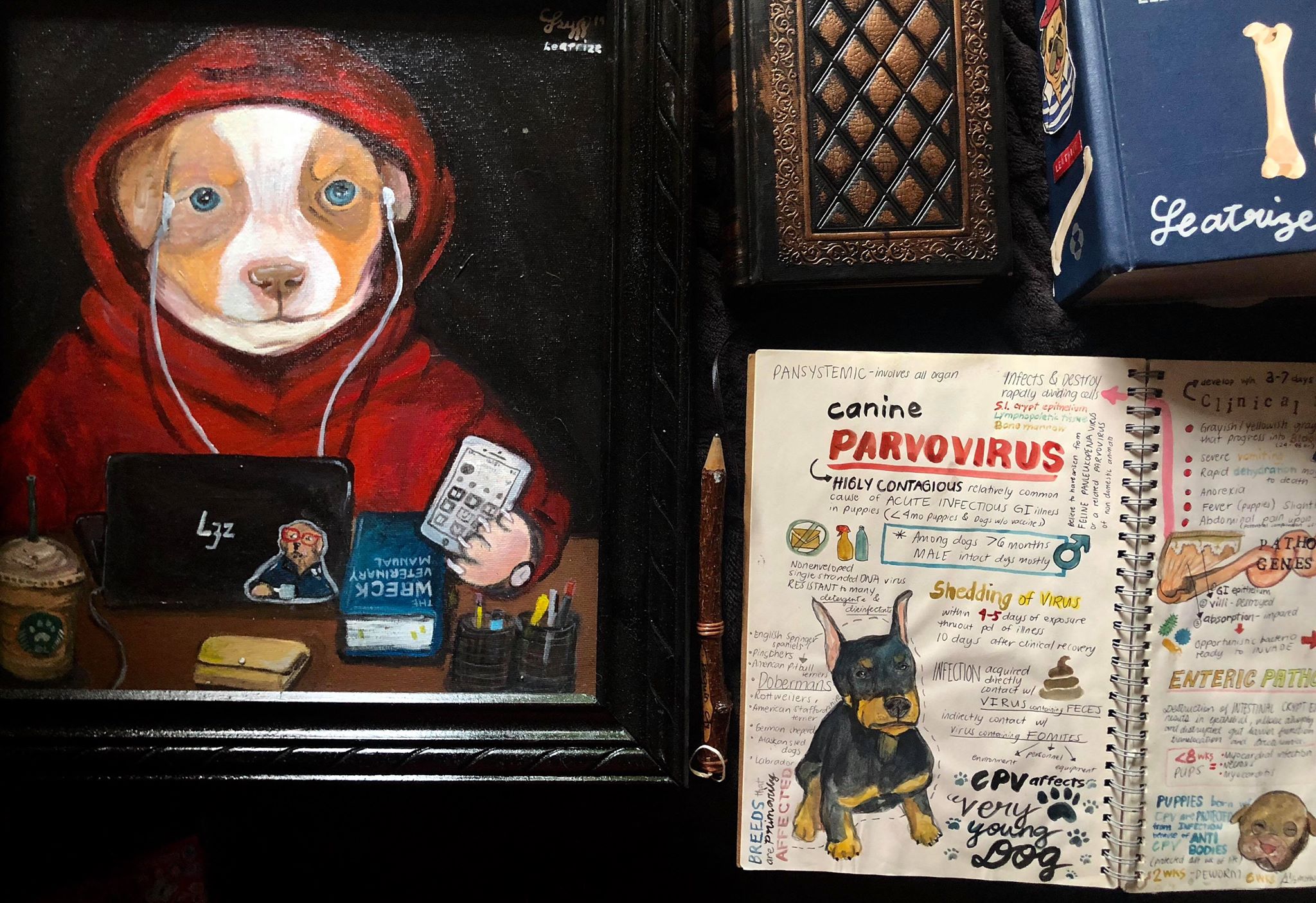 STUDY TIPS FOR VET STUDENTS – leatrize.vet